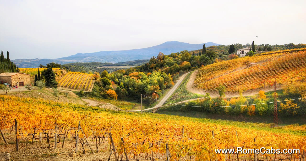 Tuscany's Valley of Paradise: A Scenic Tour with RomeCabs